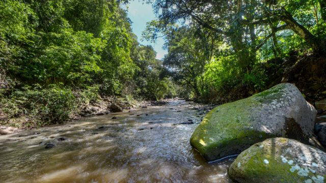 ¿Cuáles son los tres ríos más limpios de El Salvador? Expertos ...