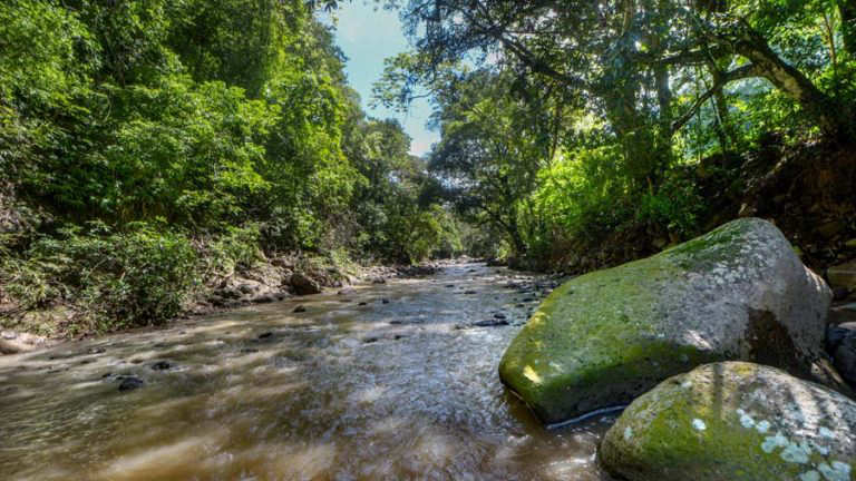 ¿Cuáles son los tres ríos más limpios de El Salvador? Expertos ...