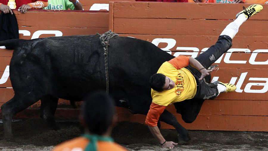 Toros “a la tica”, la controversial fiesta de fin e inicio de año en ...