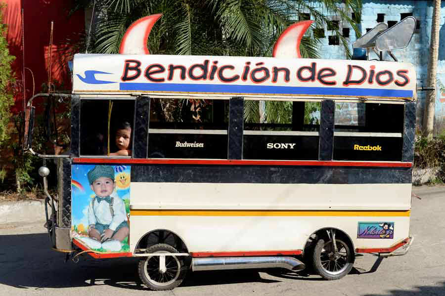 El “busito alegre” construido por una pareja de esposos es la sensación ...