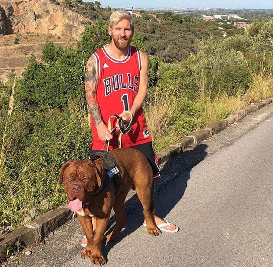 Hulk, el gigantesco y cariñoso perro de Leo Messi | elsalvador.com