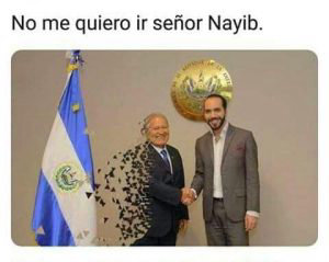 Los mejores memes de la toma de posesión del presidente Nayib Bukele ...