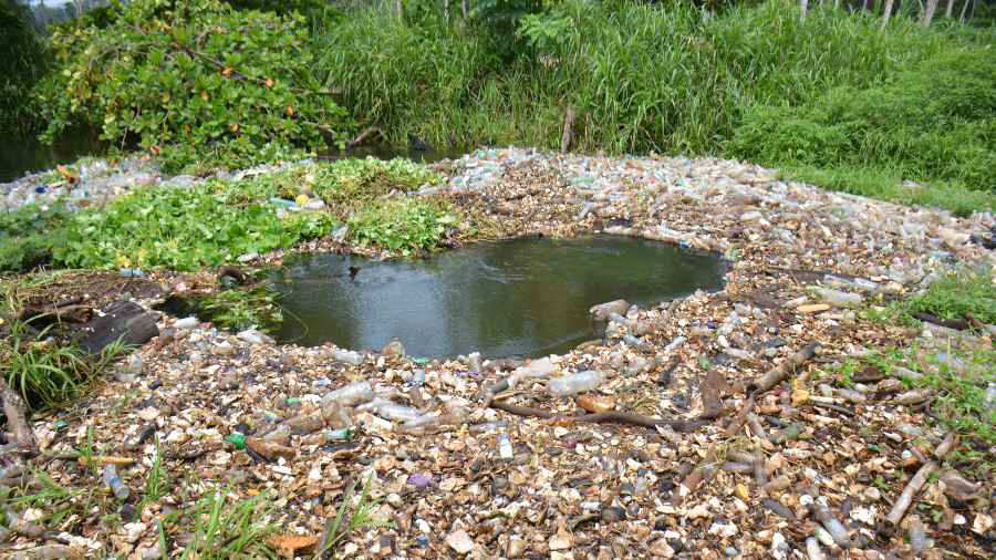 La basura acumulada en el río Grande de San Miguel pesa lo mismo que 88 ...