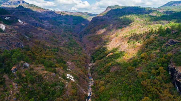 Biólogos piden el rescate del río Sapo, refugio de especies casi ...