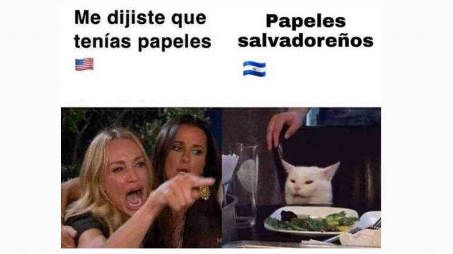 Los memes de gatos más populares del 2019, ¿cuál es tu favorito ...