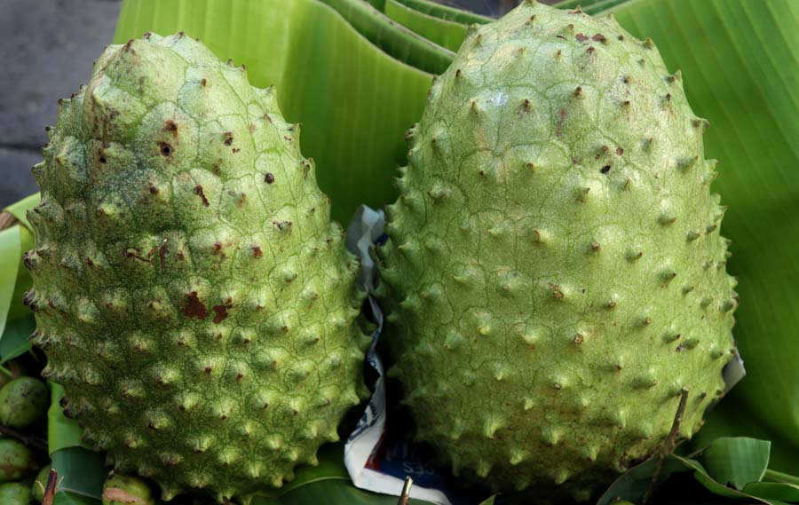 Las Frutas De El Salvador