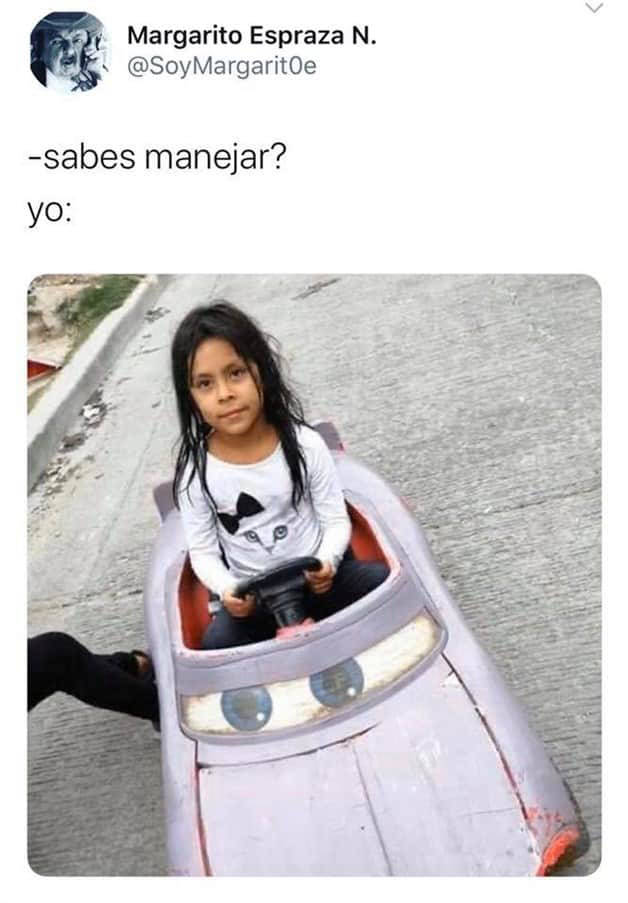 Niña atropella a gato con carro de juguete y surgen divertidos memes en ...