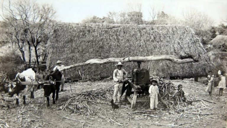 FOTOS: Cojutepeque, la ciudad de los embutidos que fue capital de El ...