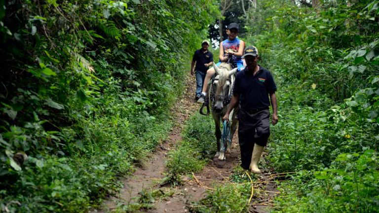 Teotepeque, la ruta del café y el aire fresco | Noticias de El Salvador ...