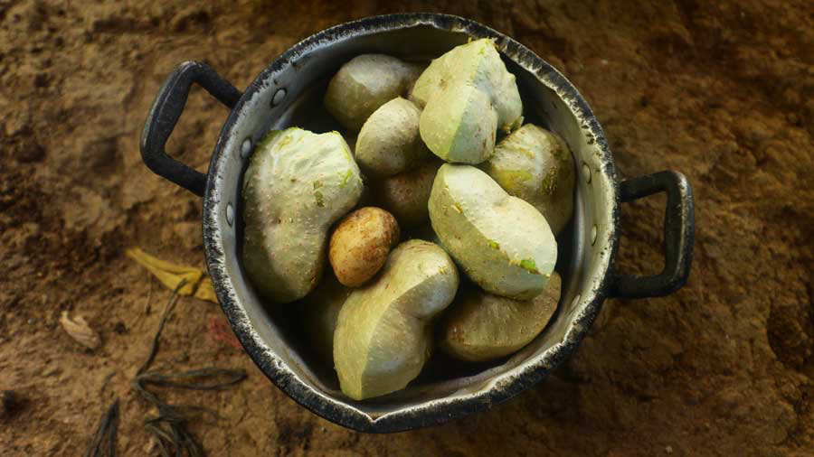 La "papa de aire", un alimento ancestral que pocos conocen en El ...
