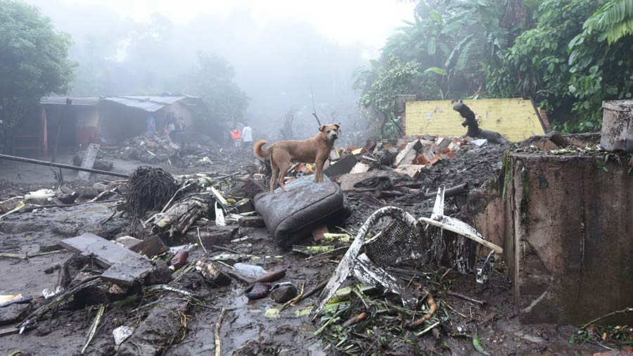 Tormenta Tropical Amanda causa desolación y dolor tras su paso por El ...