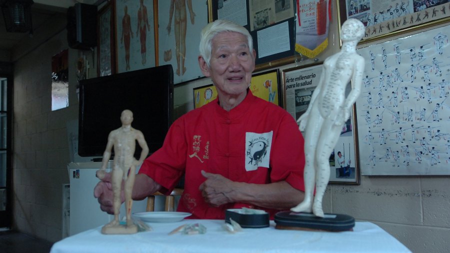 Fallece Ching Han Lee, el maestro de las agujas y las artes marciales ...