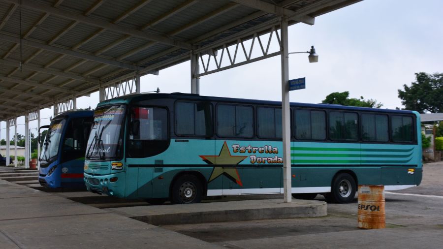 Ruta 202 de Asotra sigue sin prestar servicio a usuarios que viajan ...