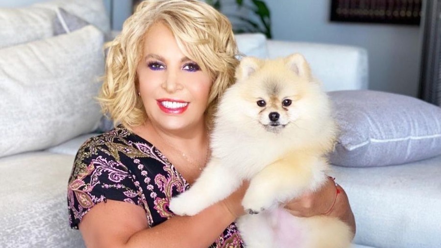 Estos son los exitosos programas que produjo la mexicana Magda ...