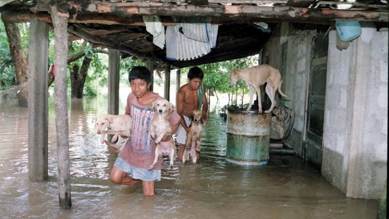 Impactantes imágenes del paso del huracán Mitch por El Salvador hace 25 ...