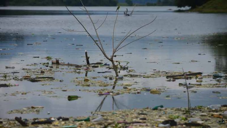 Dramáticas imágenes del lago Suchitlán por basura - Noticias de El Salvador