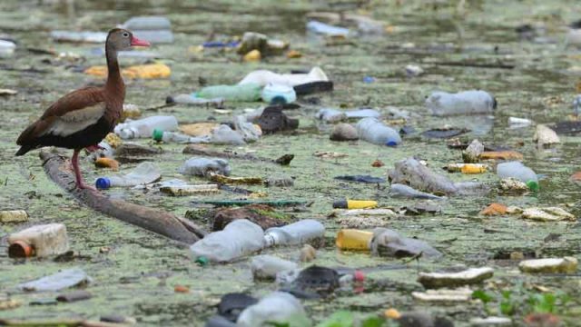 Dramáticas imágenes del lago Suchitlán por basura - Noticias de El Salvador