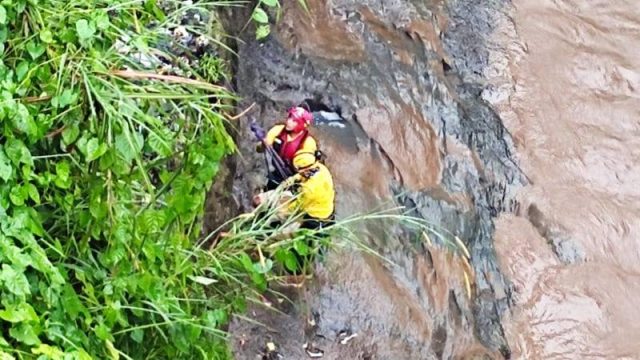 Los socorristas de Comando de Salvamentos rescataron un perrito del río ...