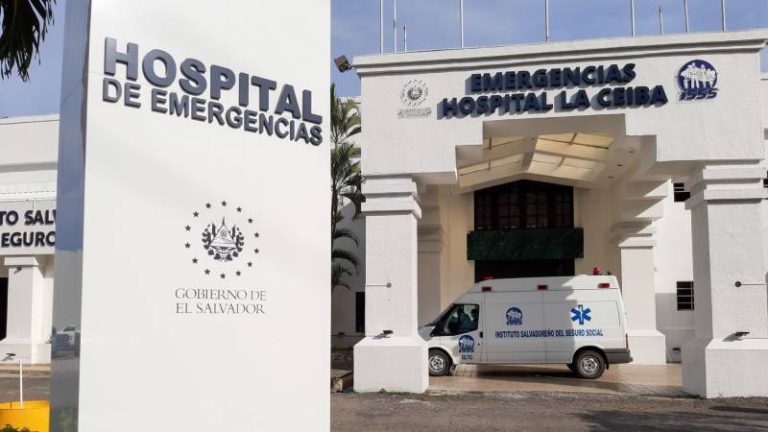 Lujo para mascotas mientras en el ISSS hay carencia de 50 medicamentos - Noticias de El Salvador