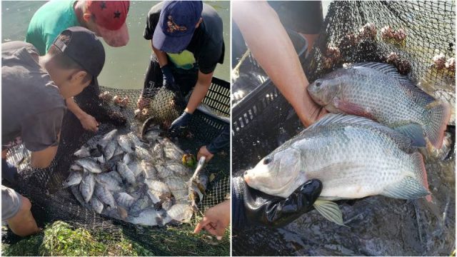 El Jícaro, un lugar lleno de aventura y diversión - Noticias de El Salvador