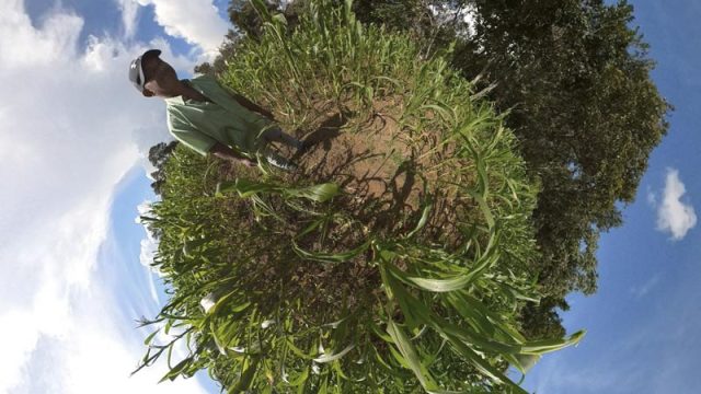 El Corredor Seco centroamericano: entre la sequía y el hambre ...