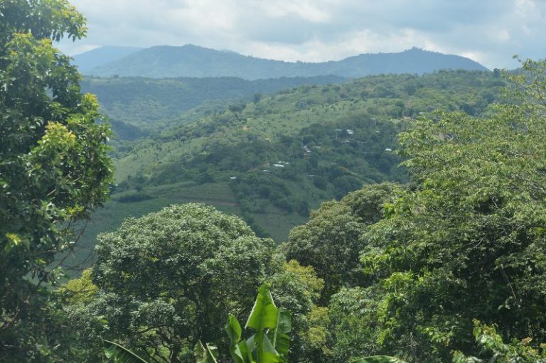 ¡Ideal para turistear! Tacuba, un pueblo escondido entre montañas ...