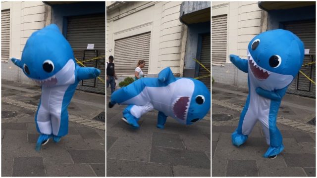 Tiburoncín, la sensacional botarga bailarina de San Salvador - Noticias ...