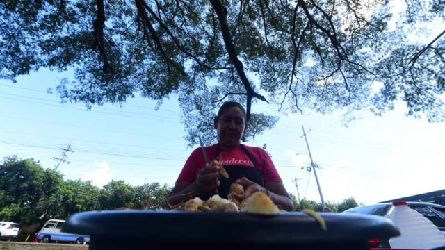 El Conacaste: un árbol que se ha convertido en símbolo de la deforestación