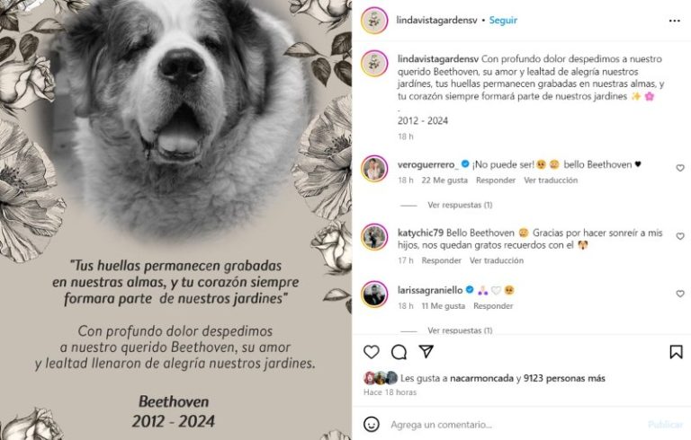 Muere Beethoven, la famosa mascota de Linda Vista Garden