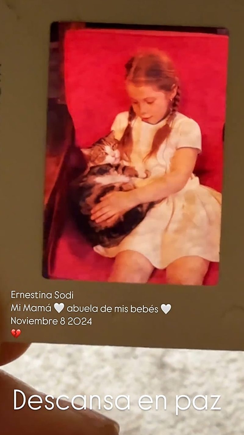 Muere Ernestina Sodi, hermana de Thalía y Laura Zapata - Noticias de El ...