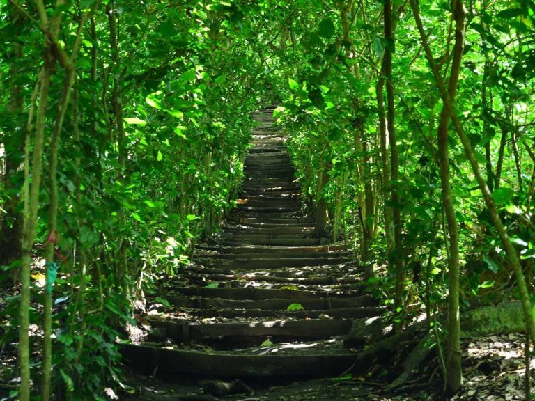 6 actividades para disfrutar el Ecoparque el Espino - Noticias de El ...