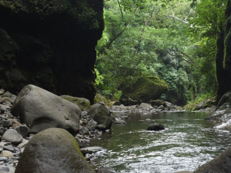 De la montaña a la poza: tour por las cascadas de Tamanique - Noticias ...