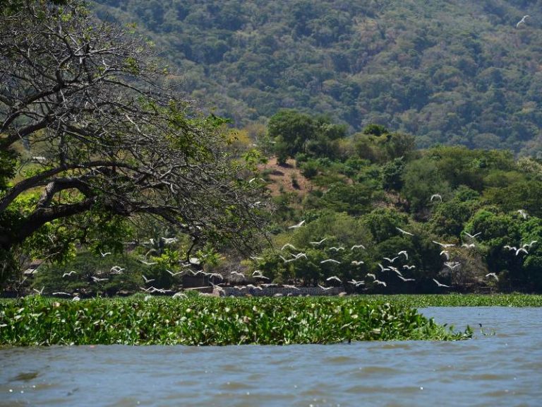 ¿Ya conocés la Laguna de Olomega? Descubrí este destino único en el ...