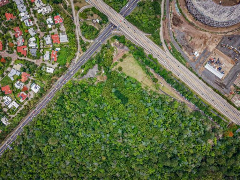 Parque Bicentenario tendrá clases gratis y cultura